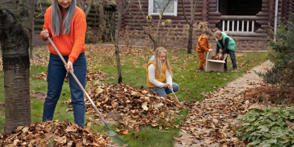 What is landscaping? The basics of how to landscape property